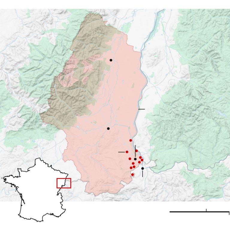 Rare Klimt painting becomes the most expensive work of modern art as it ...